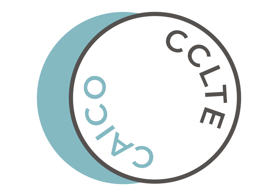 Opleiding tot AI Compliance Officer | ICTRecht Academy